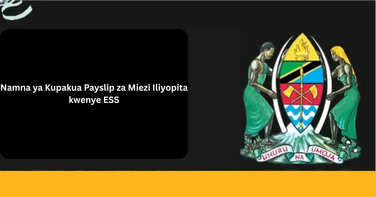 Namna ya Kupakua Payslip za Miezi Iliyopita kwenye ESS